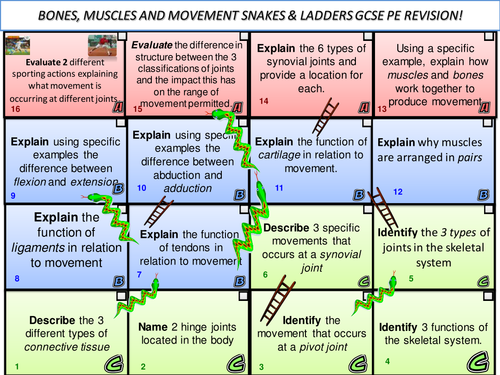 GCSE PE snakes and ladders revision board games | Teaching Resources GCSE PE snakes and ladders revision board games | Teaching Resources