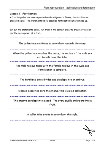 Sexual Reproduction in Plants KS3 | Teaching Resources