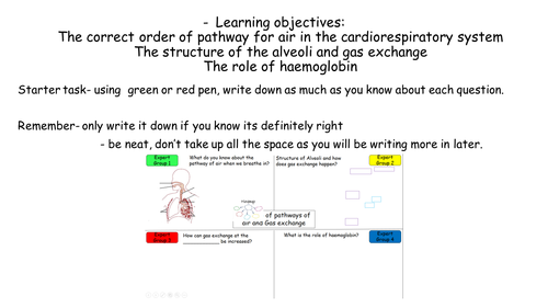 Gas exchange lesson for GCSE PE AQA and Edexcel specific by ste_p_smith ...