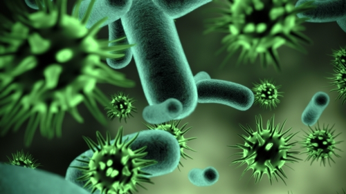 Microbiology and disease | Teaching Resources