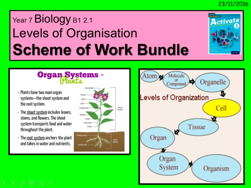 Year 7 Activate book 1 Biology B1.2 Structure and function of body ...