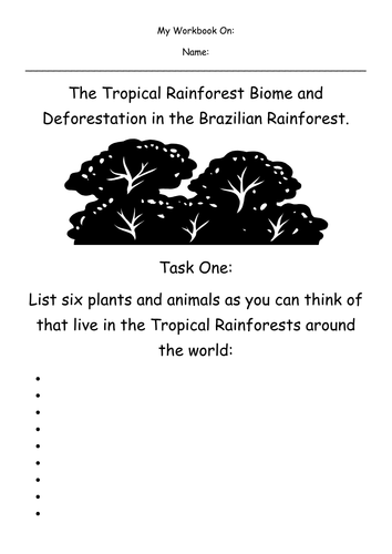 Rainforest Workbook | Teaching Resources
