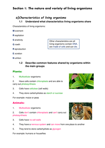 IGCSE Biology revision notes | Teaching Resources IGCSE Biology revision notes | Teaching Resources