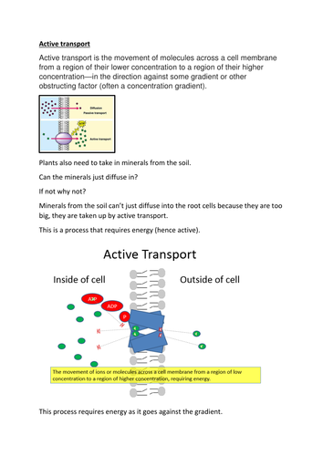 Key concepts in biology | Teaching Resources Key concepts in biology | Teaching Resources