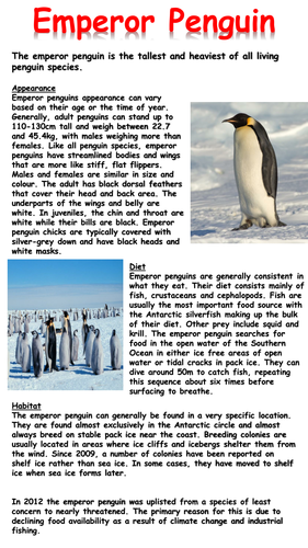 Information Text Reading Comprehensions | Teaching Resources