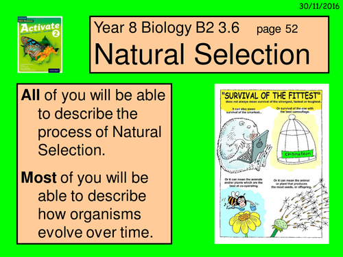 A digital version of the Year 8 Biology B2 3.6 "Natural Selection ...