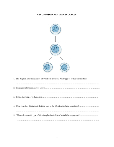 Cell Division and the Cell Cycle | Teaching Resources