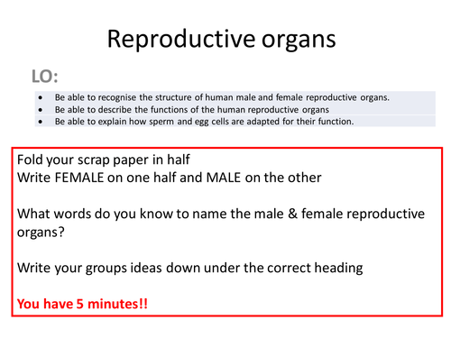 Reproductive Organs