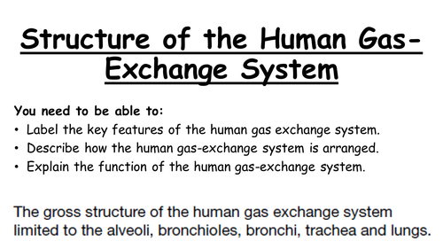 NEW AQA AS Biology 6.6 Structure of the Human Gas Exchange System ...