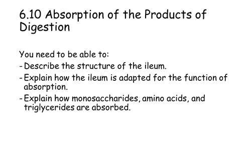 NEW AQA AS Biology 6.10 Absorption of the products of digestion ...