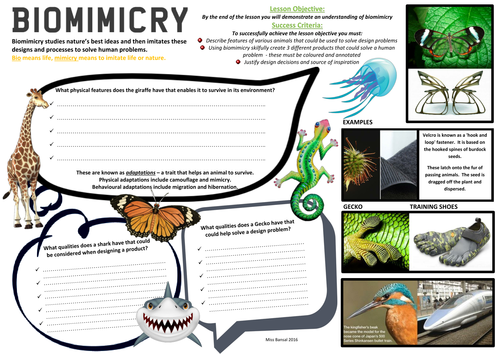 Biomimicry by jaspreet14 - Teaching Resources - Tes