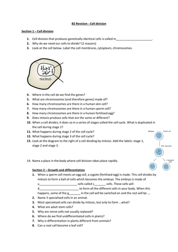 Cell division topic revision questions New GCSE Biology AQA | Teaching ...