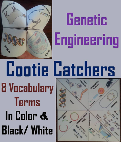 Genetic Engineering | Teaching Resources Genetic Engineering | Teaching Resources
