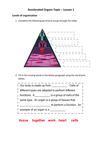 AQA GCSE New 2016 Organisation in humans accelerated or revision ...