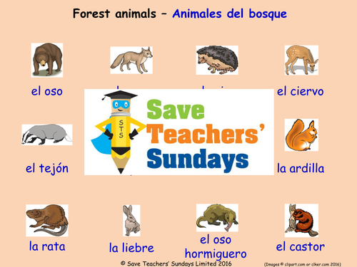 Forest Animals in Spanish Worksheets, Games, Activities and Flash Cards ...