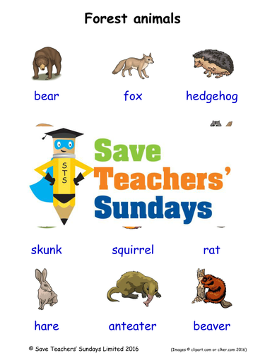 Forest Animals EAL/ESL Worksheets, Games, Activities and Flash Cards ...