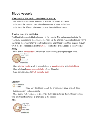AS Level Biology: Blood vessels | Teaching Resources