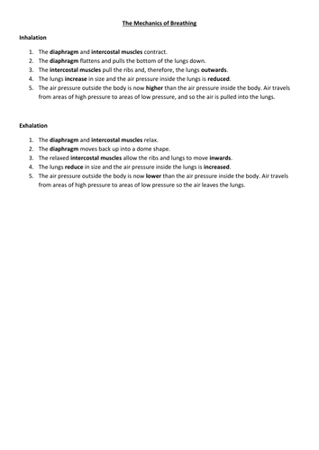 The Mechanics of Breathing Edexcel GCSE PE 2016 9-1 | Teaching Resources