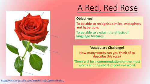Love Poetry 1: Burns' Red, Red Rose - Language feature analysis lesson ...
