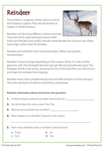 Reading Comprehension: Reindeer | Teaching Resources
