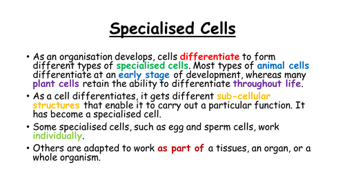 AQA B1.4 & 1.5 Specialisation In Animal & Plant Cells | Teaching Resources