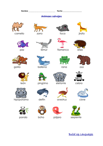 Animales salvajes vocabulario | Teaching Resources