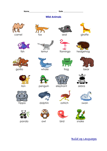 Wild Animals Esl Worksheets
