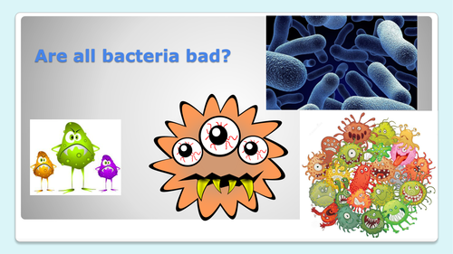 Health & Diet; Bacteria and Digestion (KS3 Activate) | Teaching Resources