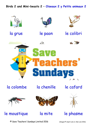 Birds 2 and Mini-beasts 2 in French Worksheets, Games, Activities and ...