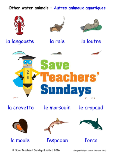 Other Water Animals in French Worksheets, Games, Activities and Flash ...