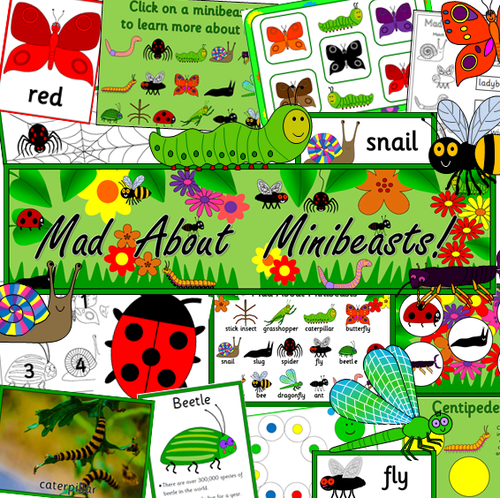 EYFS minibeasts pack- beasts, bugs and insects- mini beasts | Teaching ...