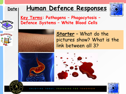 Human Defence Responses New 2016 GCSE Spec | Teaching Resources