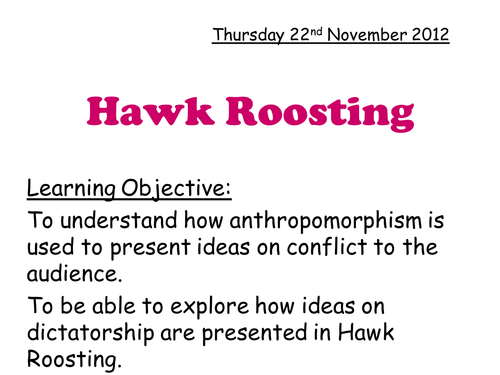 Analysis and Annotation of Hawk Roosting | Teaching Resources