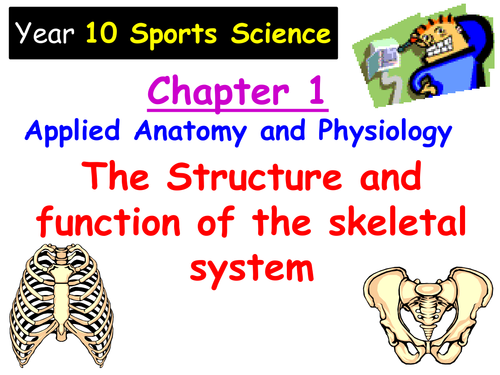 Structure and Function of the Skeletal systems - NEW AQA GCSE PE ...