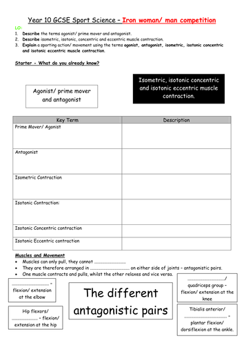 Joint Movements/ Muscle contractions - New AQA GCSE PE Specification ...