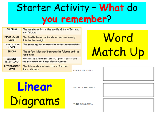 Levers through Speed dating - New AQA GCSE PE Specification | Teaching ...