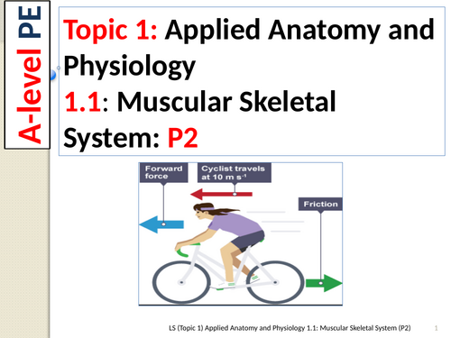 A-level PE EDEXCEL (Spec 2016) 1.1: Muscular Skeletal System (Part 2 ...