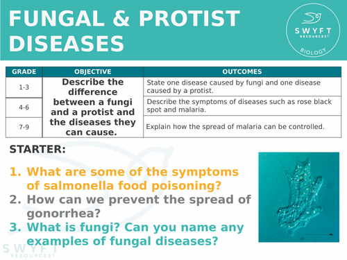 NEW AQA GCSE (2016) Biology lesson - Fungal & Protist Diseases ...