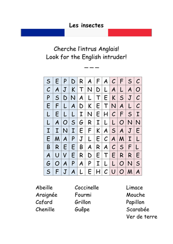 French Insects | Teaching Resources