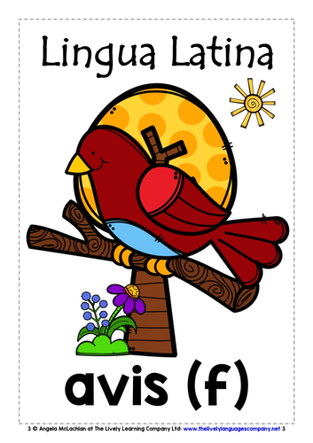 Secondary Latin language and literature teaching resources | TES