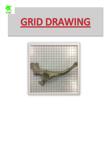 Art Grid Drawing. Bone | Teaching Resources