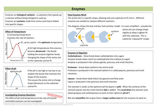Enzymes Revision Sheet (new AQA) by teachsci1 - Teaching Resources - Tes Enzymes Revision Sheet (new AQA) by teachsci1 - Teaching Resources - Tes