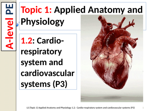 A-level PE EDEXCEL (Spec 2016) 1.2: Cardio-Respiratory & Cardiovascular ...