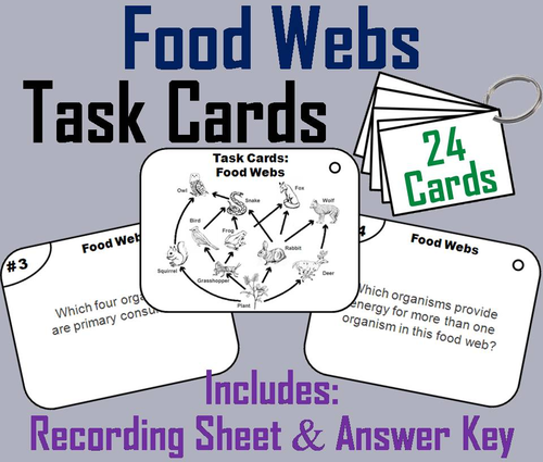 Food Web Task Cards | Teaching Resources