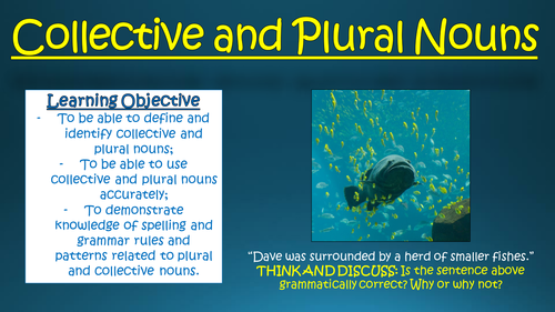 Collective and Plural Nouns! | Teaching Resources