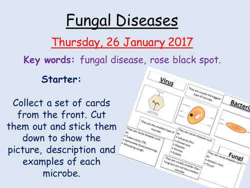 AQA- Infection & Response- Fungal Diseases | Teaching Resources