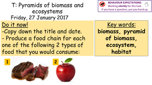 Pyramids of numbers and biomass KS3 or KS4 | Teaching Resources