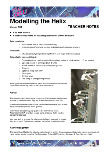 A-level Biology_Structure of DNA | Teaching Resources