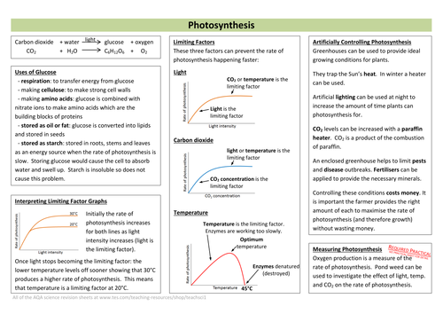 Photosynthesis Revision Sheet (new AQA) | Teaching Resources Photosynthesis Revision Sheet (new AQA) | Teaching Resources