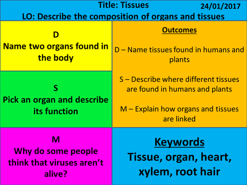 New Exploring Science - Year 7 - Cells - L3 Tissues | Teaching Resources